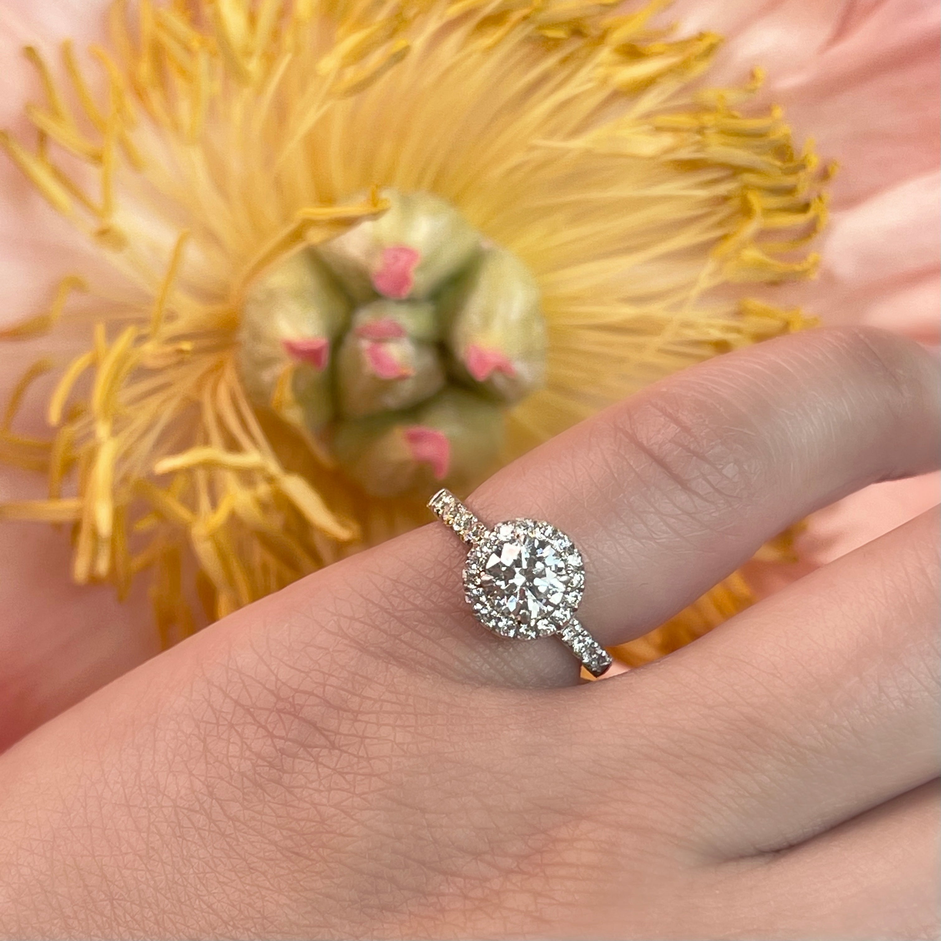 Vicky Ring: Round Diamond Set in Platinum Diamond Halo Engagement Ring ...